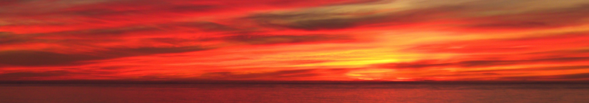 Braslau Research Alumni Dr. Jean Ruehl