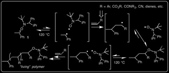 Braslau Group: α-H Nitroxides in NMP