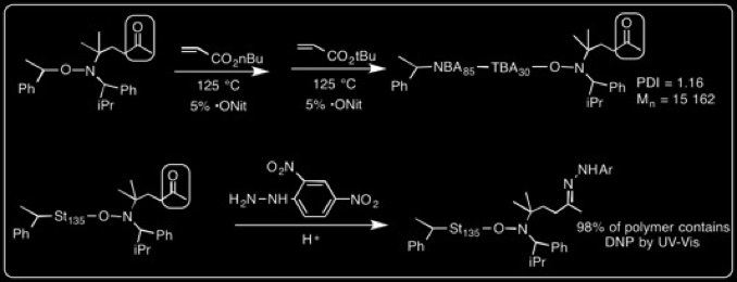 Braslau Group: α-H Nitroxides in NMP