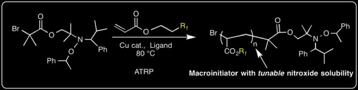Braslau Group: α-H Nitroxides in NMP